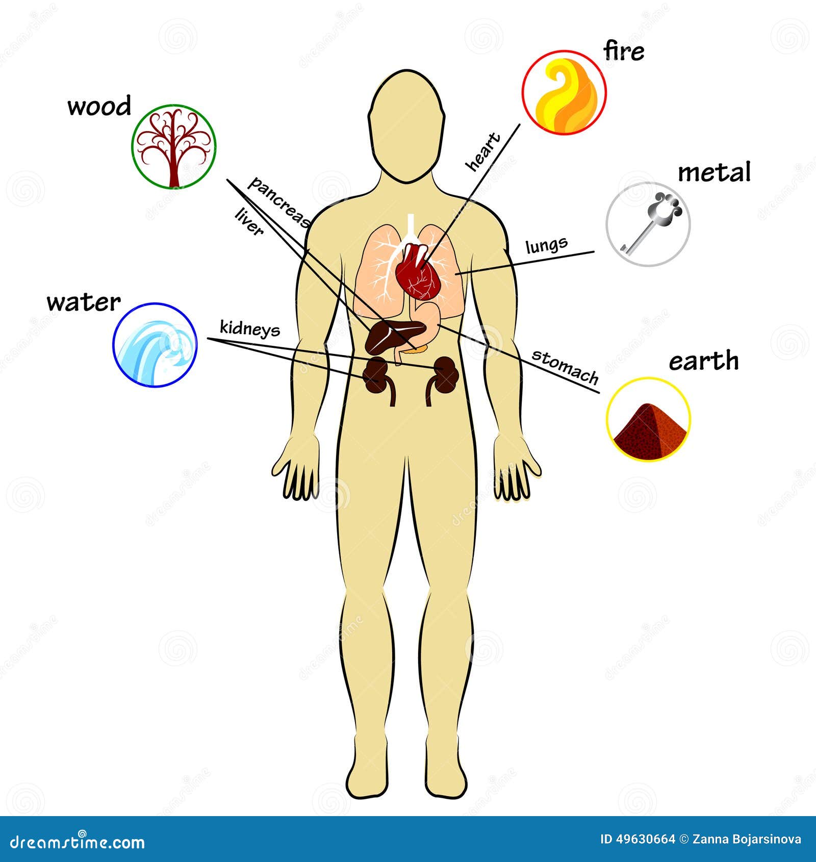 Five elements stock vector. Illustration of chakra, buddha - 49630664