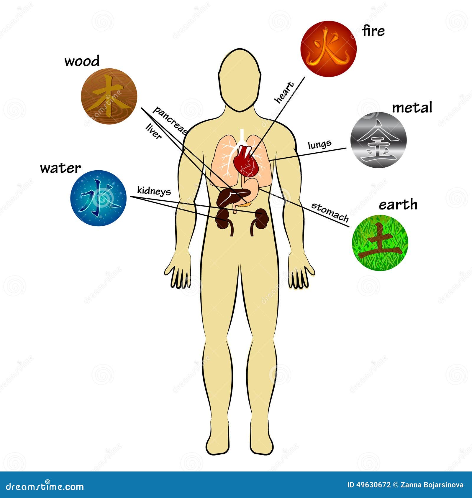 Five elements stock vector. Illustration of chakra, cycle - 49630672