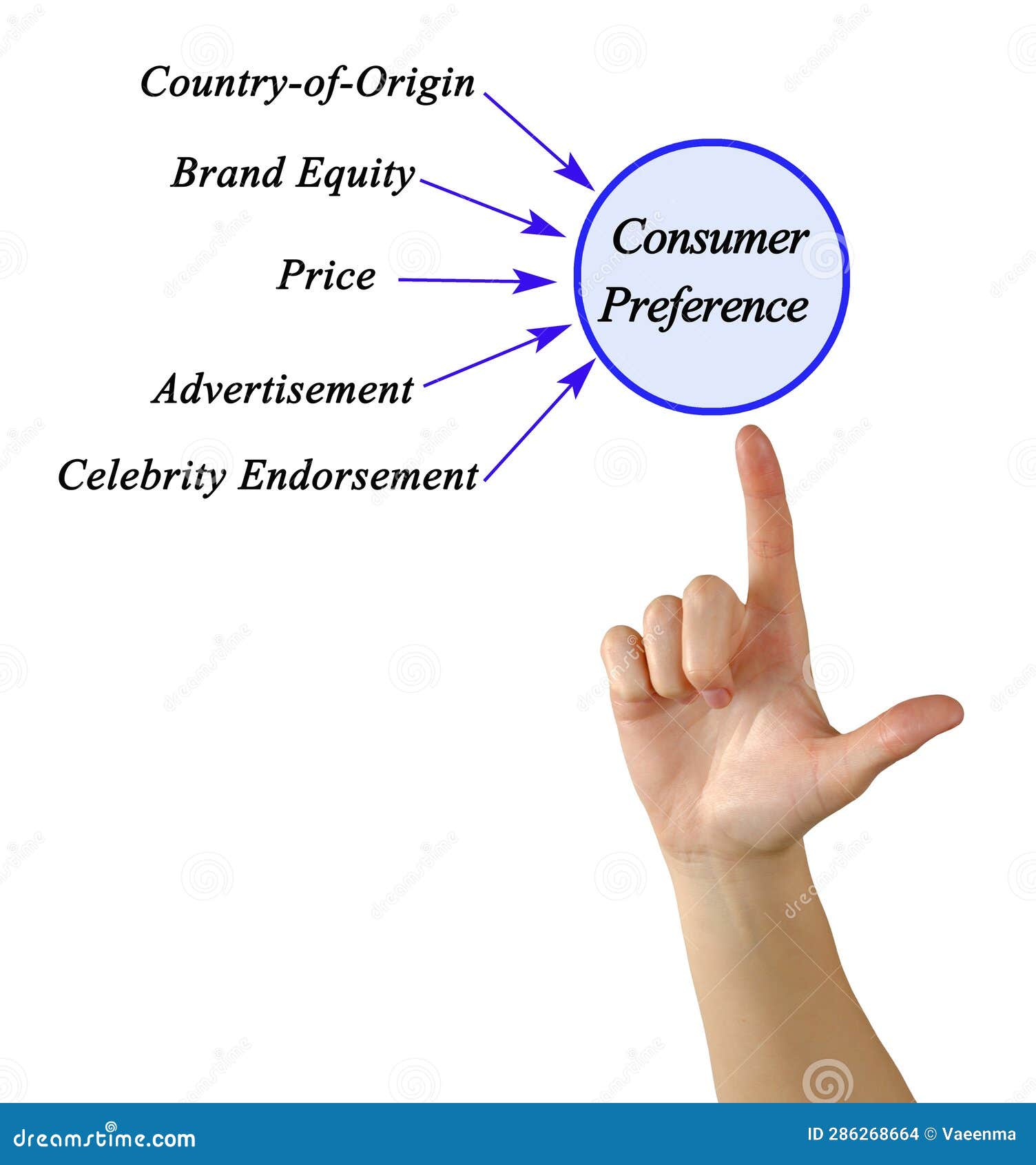 Factors Influencing Consumer Preference Stock Photo - Image of 3678 ...
