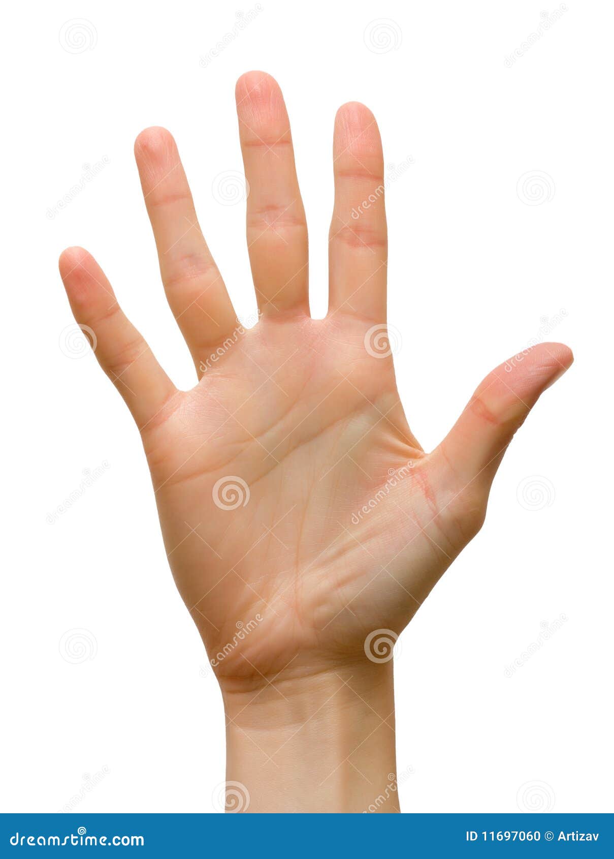 Five fingers stock photo. Image of body, closeup, success - 11697060