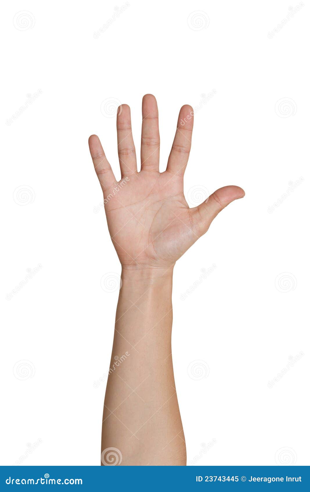 Five fingers stock image. Image of open, stop, closeup - 23743445