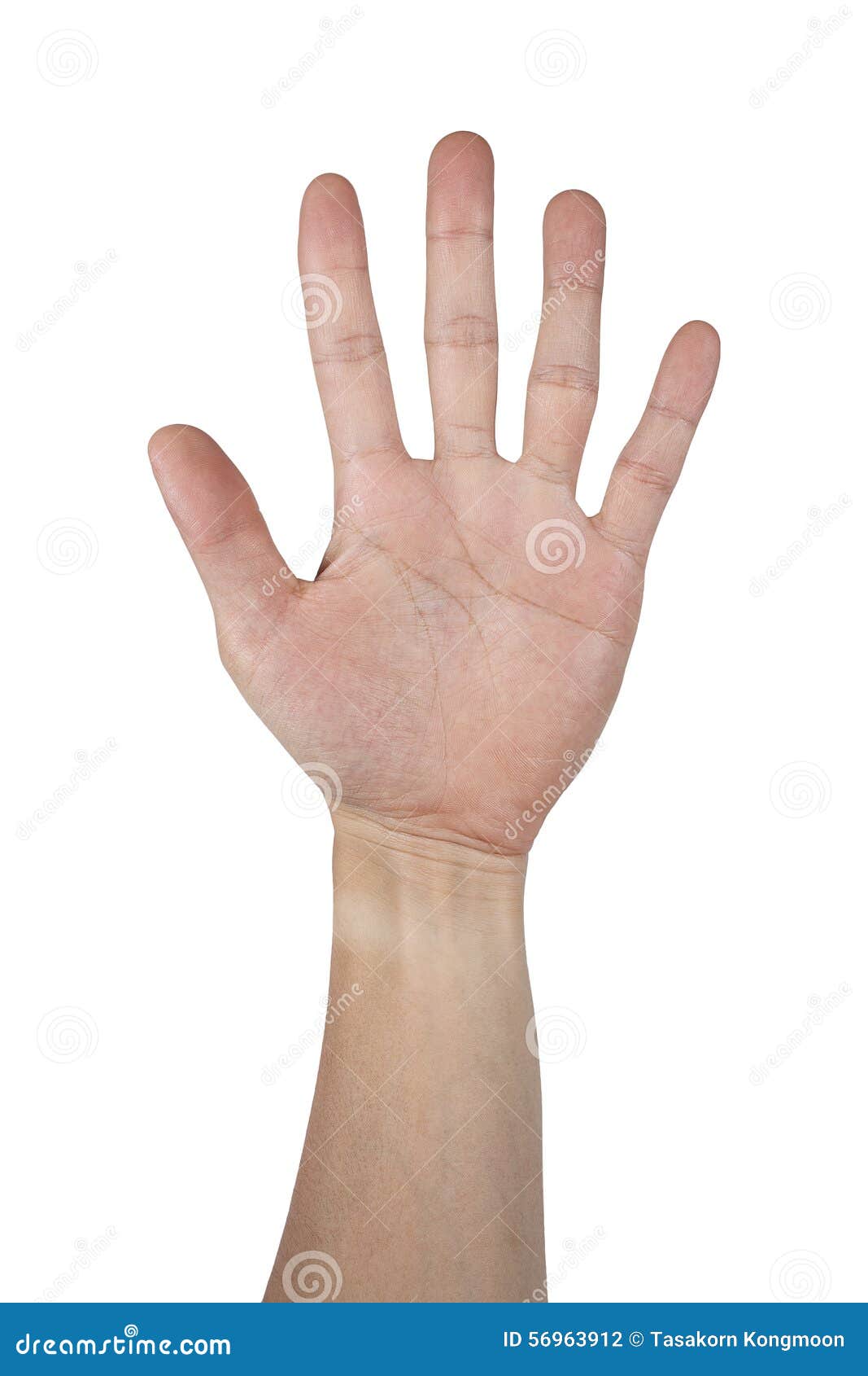 Five Fingers Sign by Hand Isolated on White Stock Photo - Image of sign ...