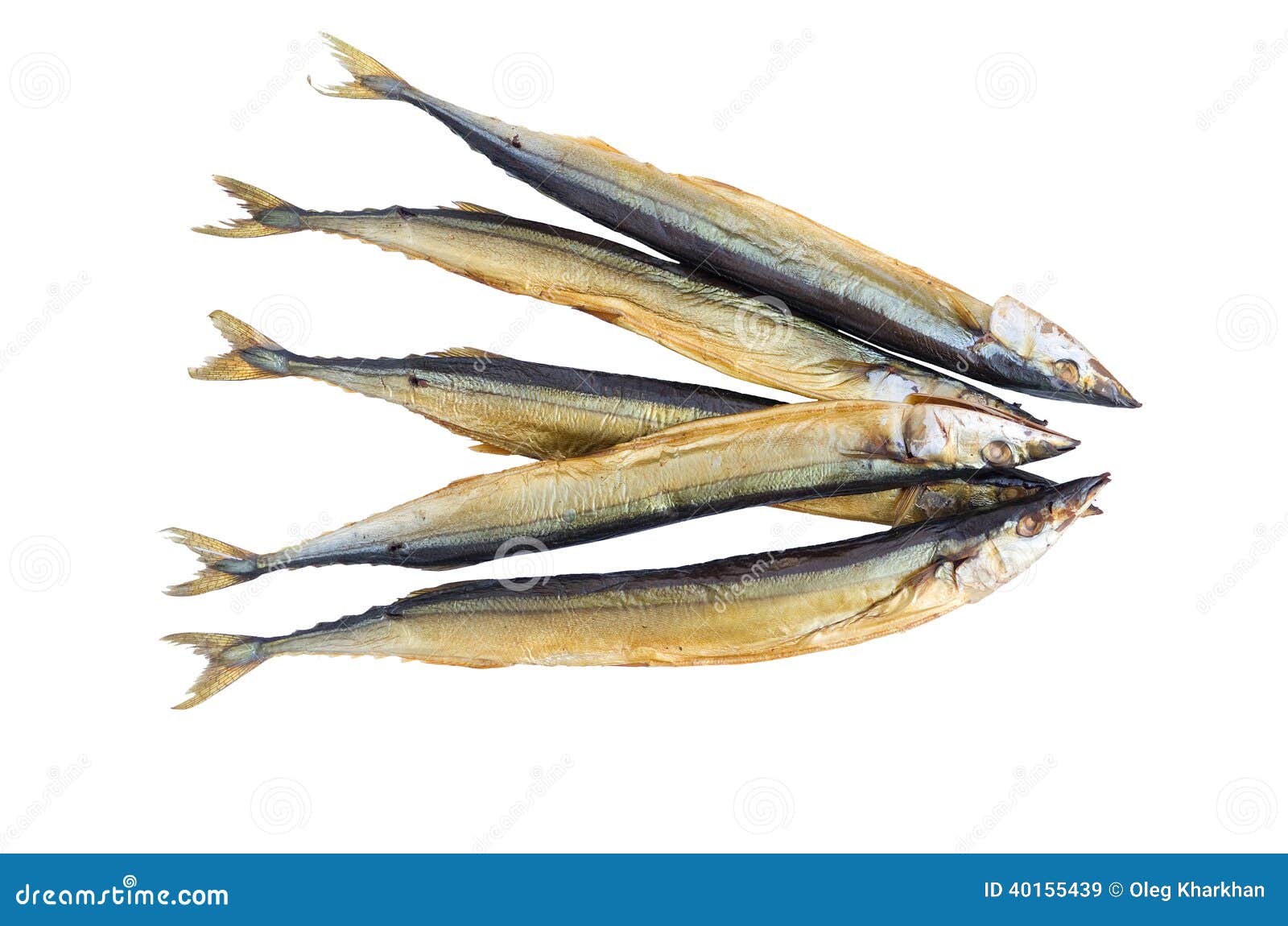 Five Fish on a White Background Stock Image - Image of fauna, delicacy ...