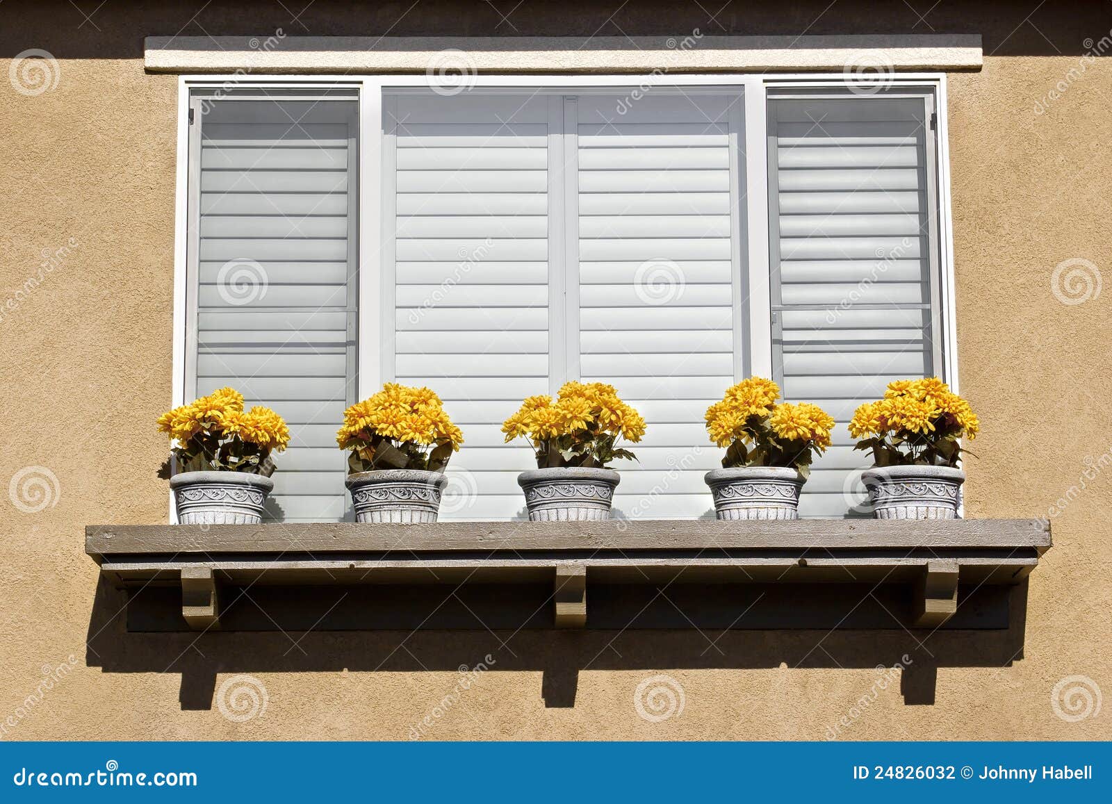 Five Flower Pots stock photo. Image of plank, attached - 24826032