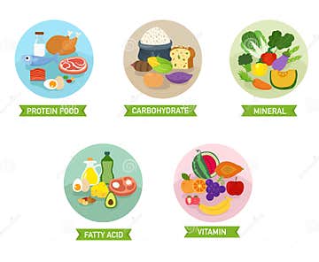 Five food group stock vector. Illustration of info, orange - 285572758