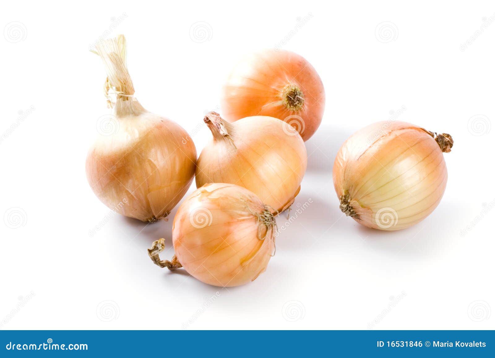 Five fresh onions stock photo. Image of food, ingredient - 16531846