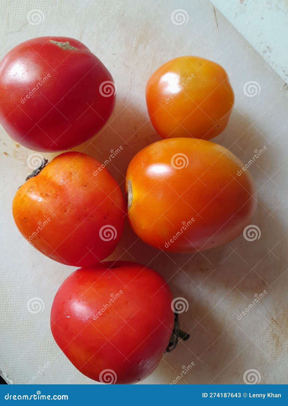 Five Fresh Tomatoes of Various Sizes Stock Image - Image of five ...