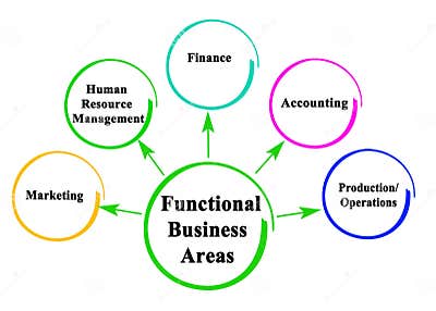 Functional Business Areas stock illustration. Illustration of finance ...