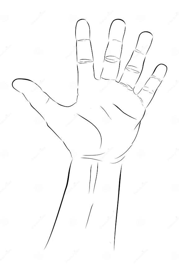 Five Gesture Simple Vector Hand Draw Sketch Doodle Man Hand Stock ...