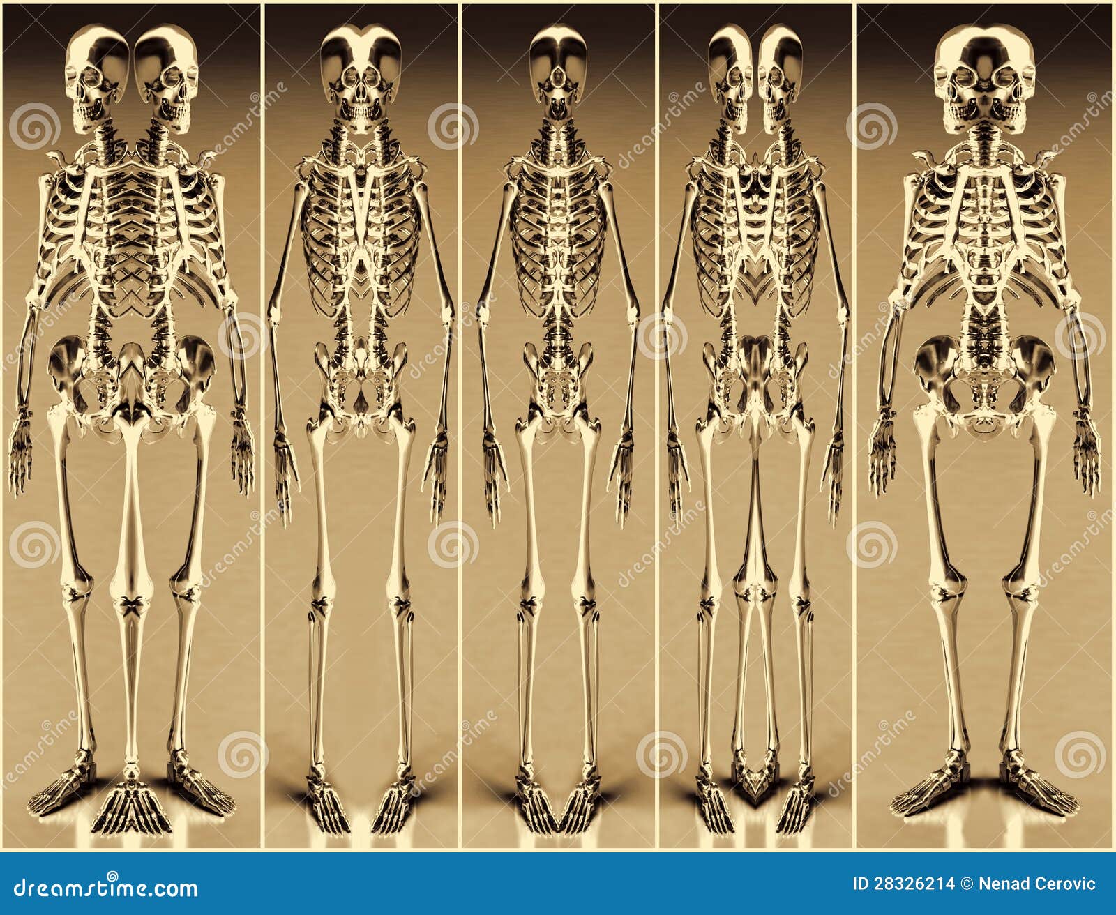 Five Gold Alien Skeleton 02 Stock Images - Image: 28326214