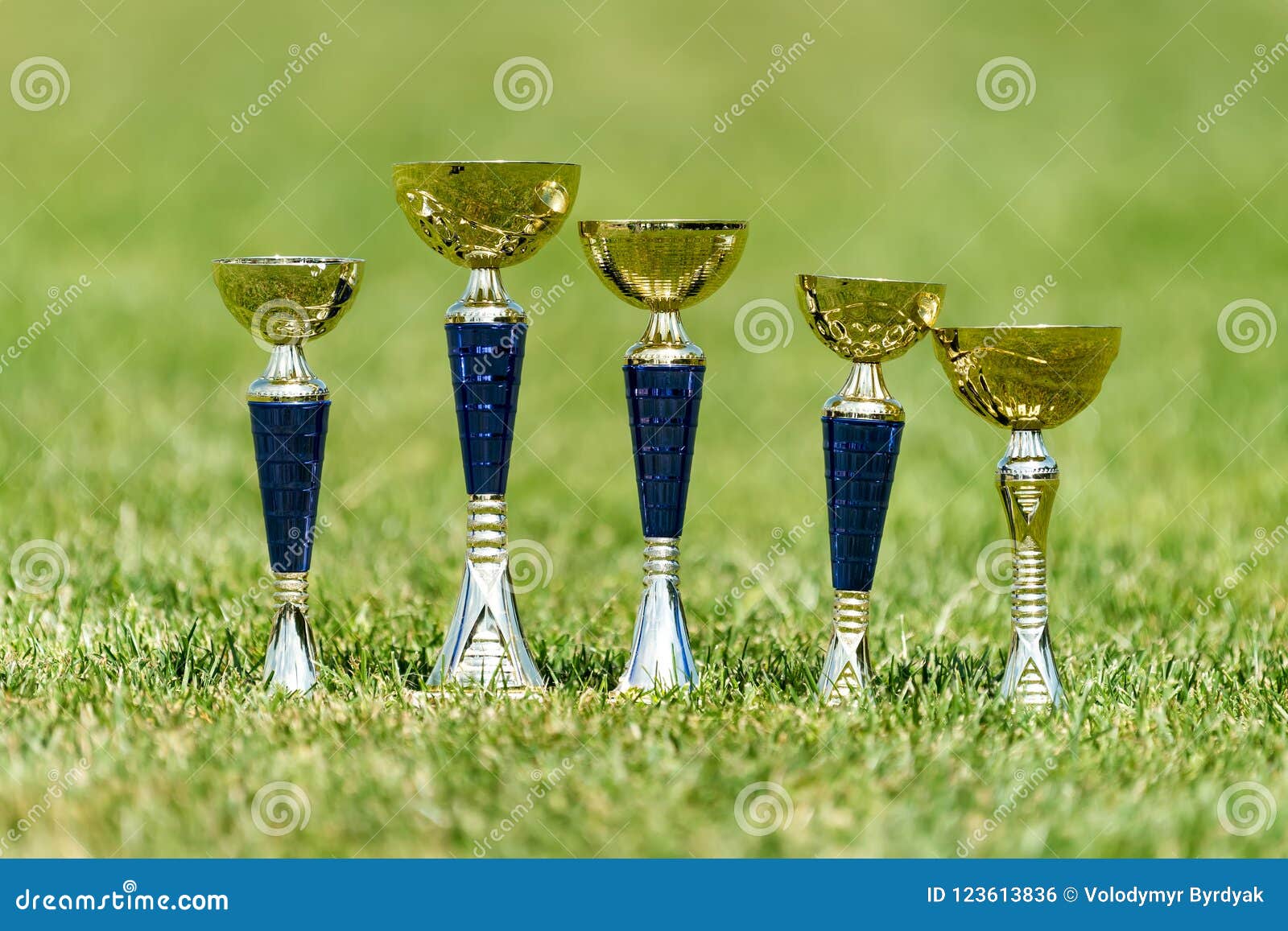 Five Golden Trophy in Green Grass Stock Photo - Image of place, nature ...