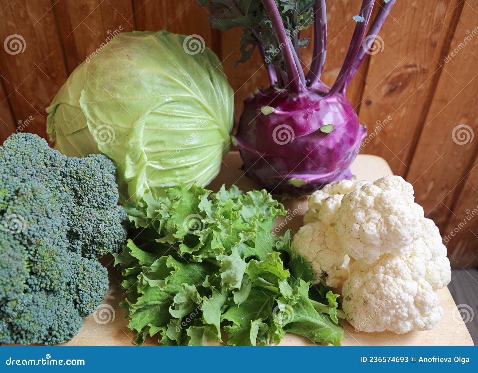 Five grades of cabbage stock image. Image of nature - 236574693