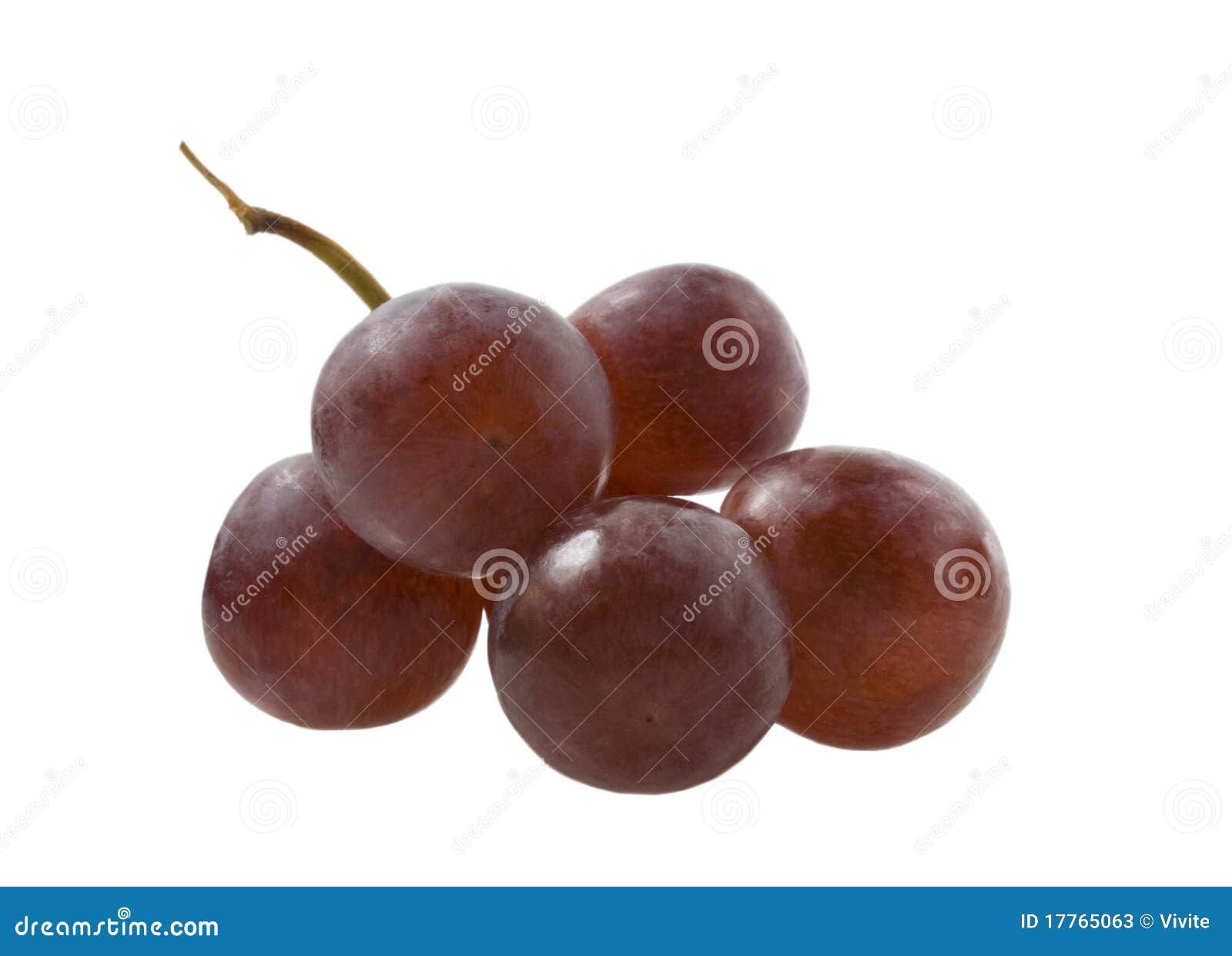 Five Grapes Barries with the Twig Stock Image - Image of life, object ...
