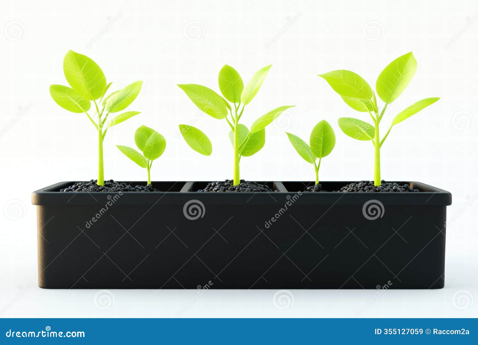 Five Green Plants Growing in a Multi-Section Black Container Stock ... Five Green Plants Growing in a Multi-Section Black Container Stock ...