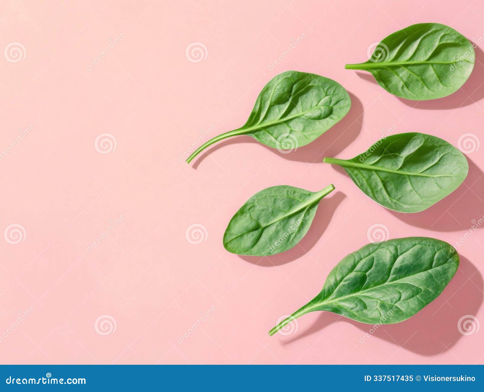 Five Green Spinach Leaves on a Pink Background Stock Illustration ...