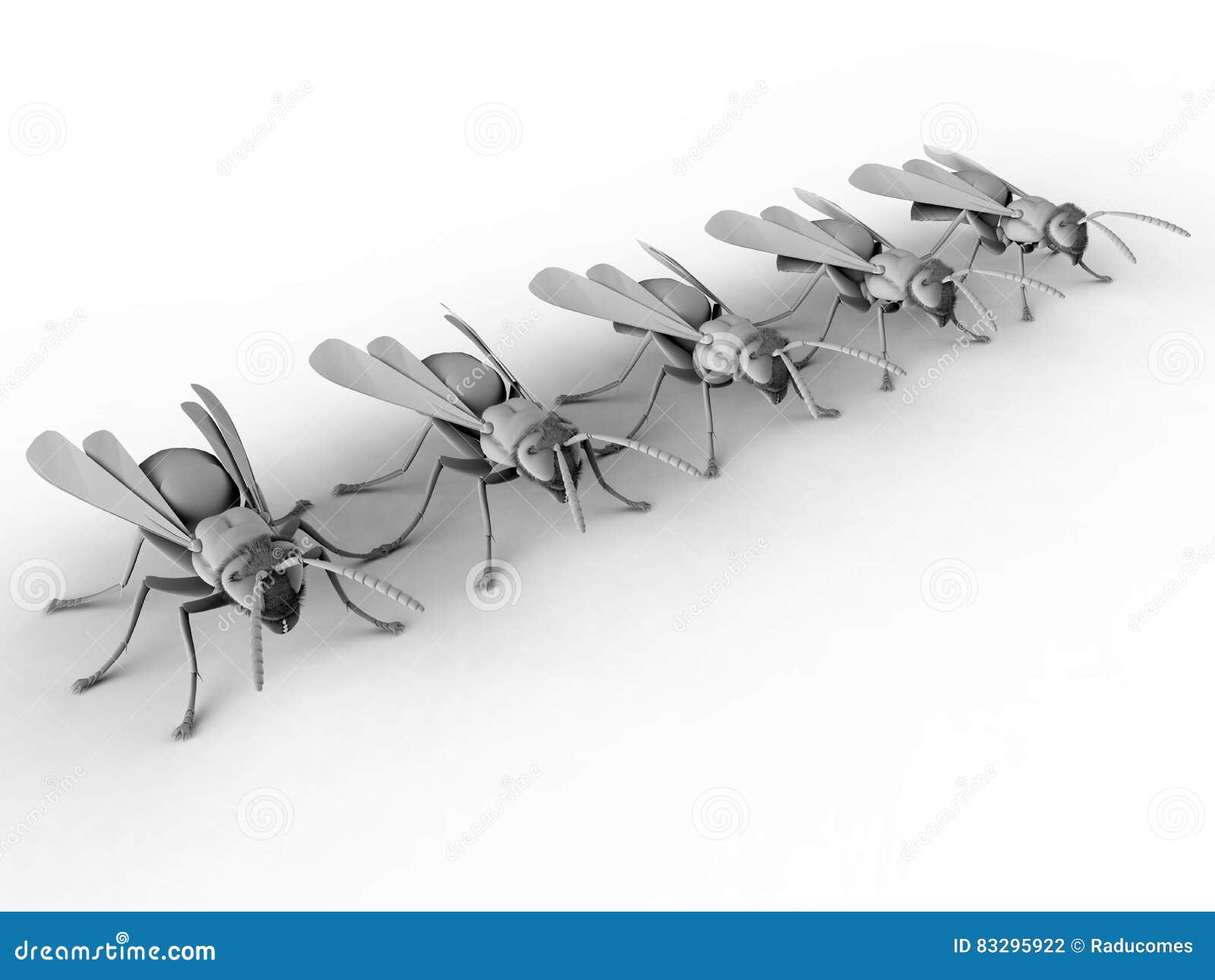 Five Grey Scale Wasps Stock Illustration | CartoonDealer.com #83295922