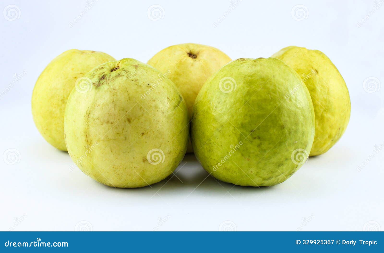 Five Half Ripe Red Guavas on a White Isolated Background Stock Image ...