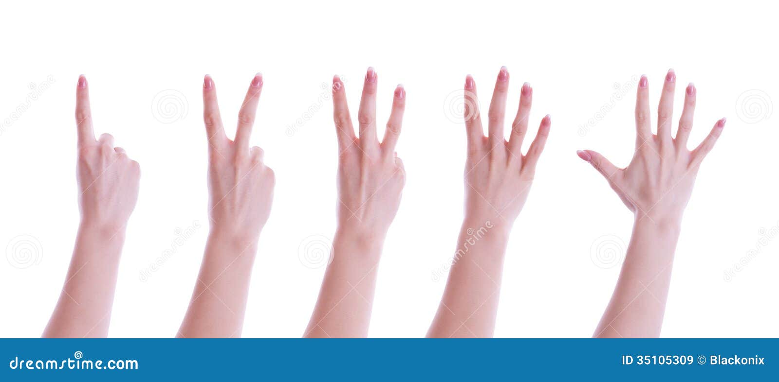 Five hands stock image. Image of isolated, arms, medium - 35105309