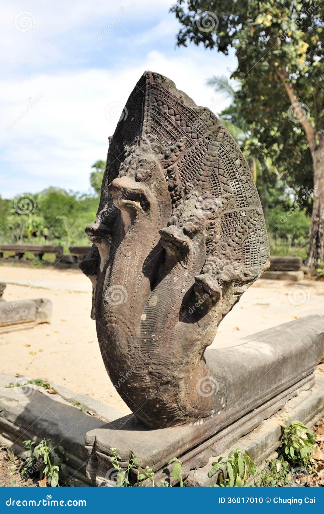 Five Head Snake in Beng Mealea Stock Photo - Image of beng, exploration ...