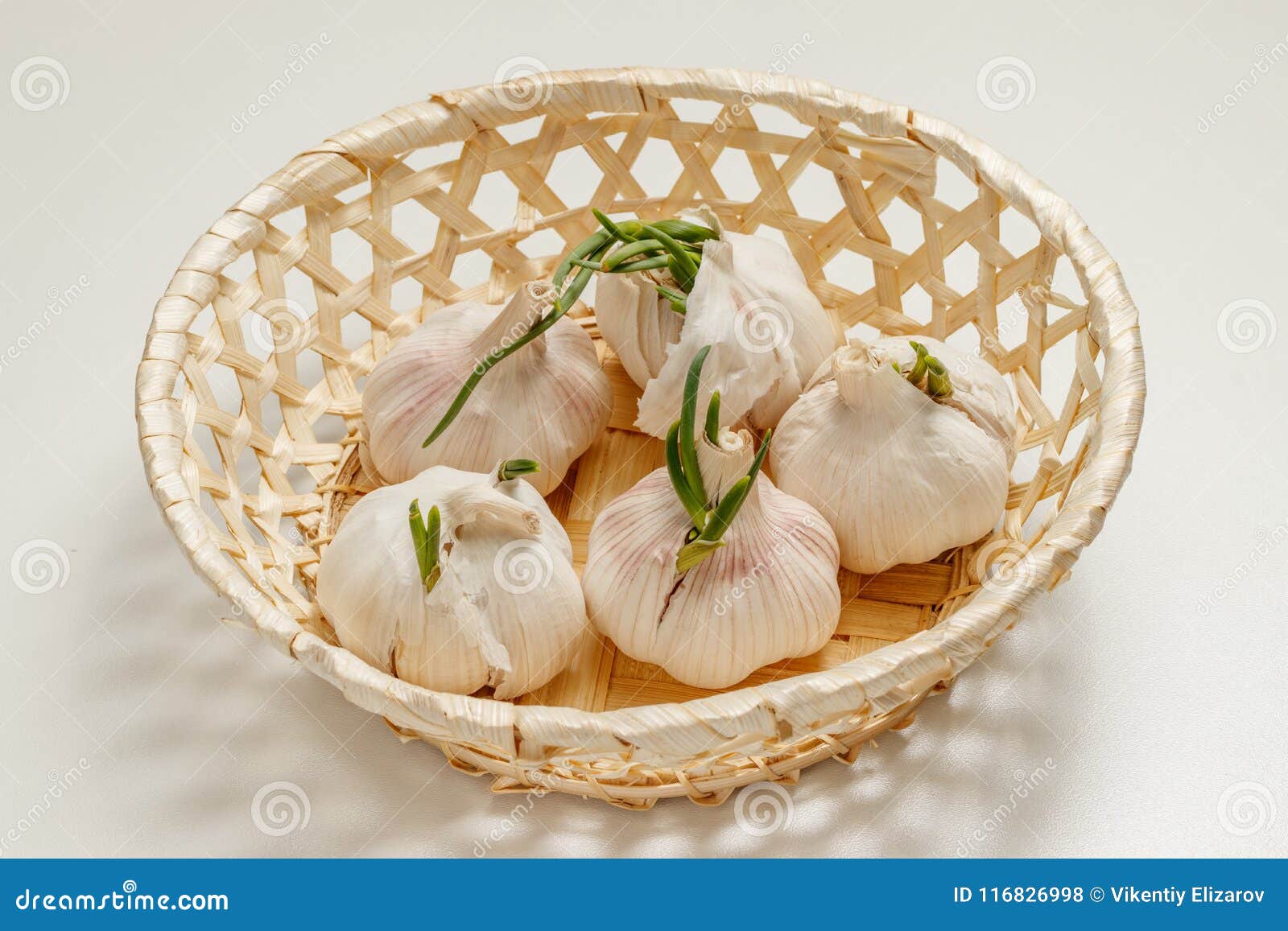 Five Heads of Garlic with Sprouts Lie in a Basket on the Table Stock ...