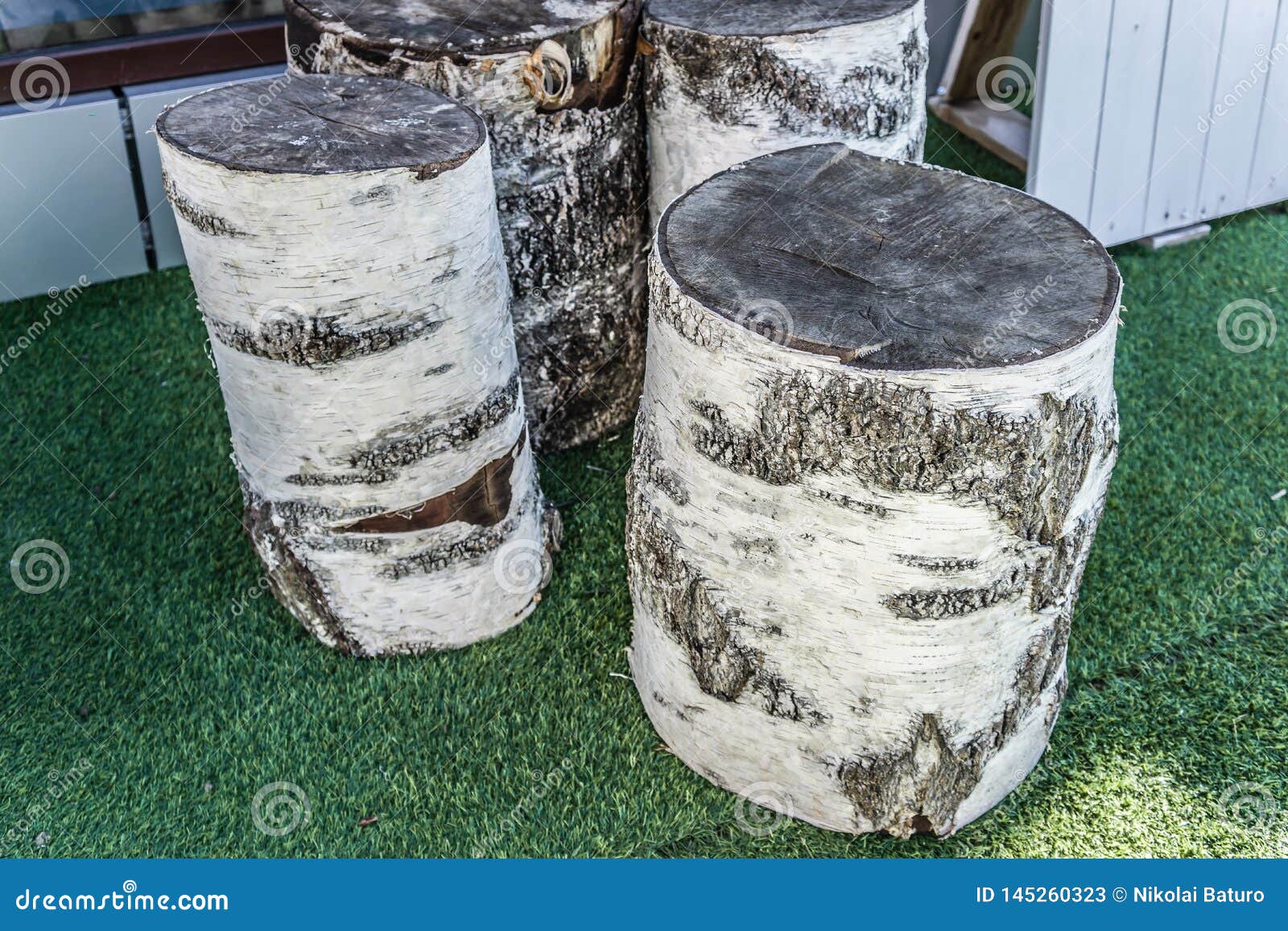 Five Large Round Birch Logs Stand on the Grass. View from Above. Stock ...