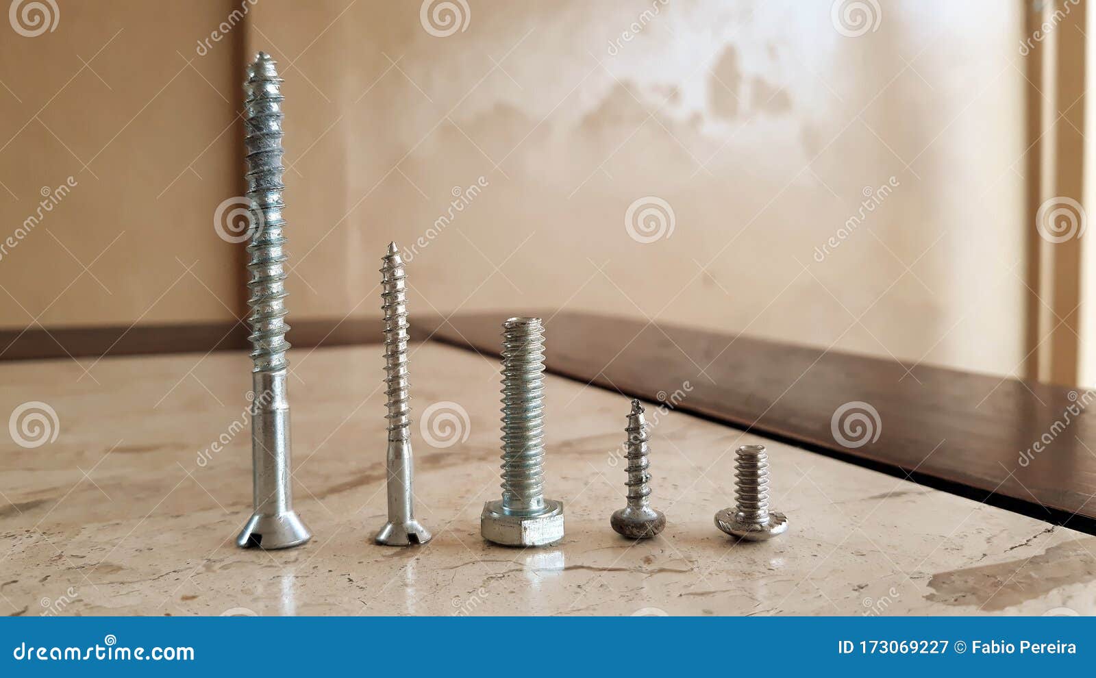 Five metallic screws stock image. Image of horizontally - 173069227