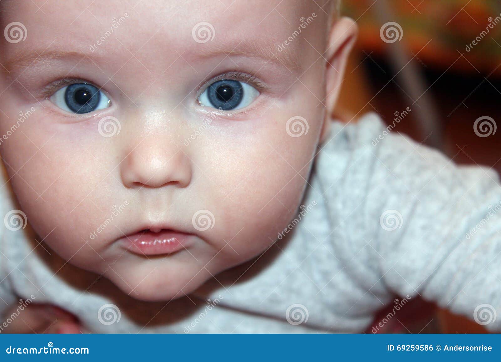 Five month old baby boy stock photo. Image of alone, person - 69259586