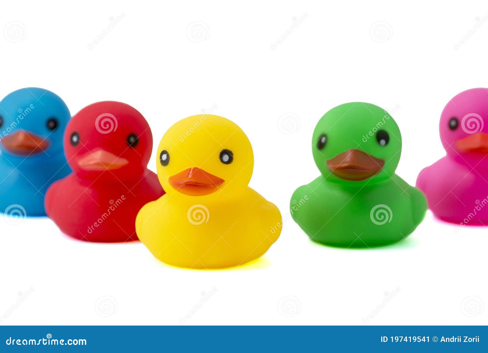 Five Multi-colored Rubber Ducks on White Background. Rubber Ducks ...