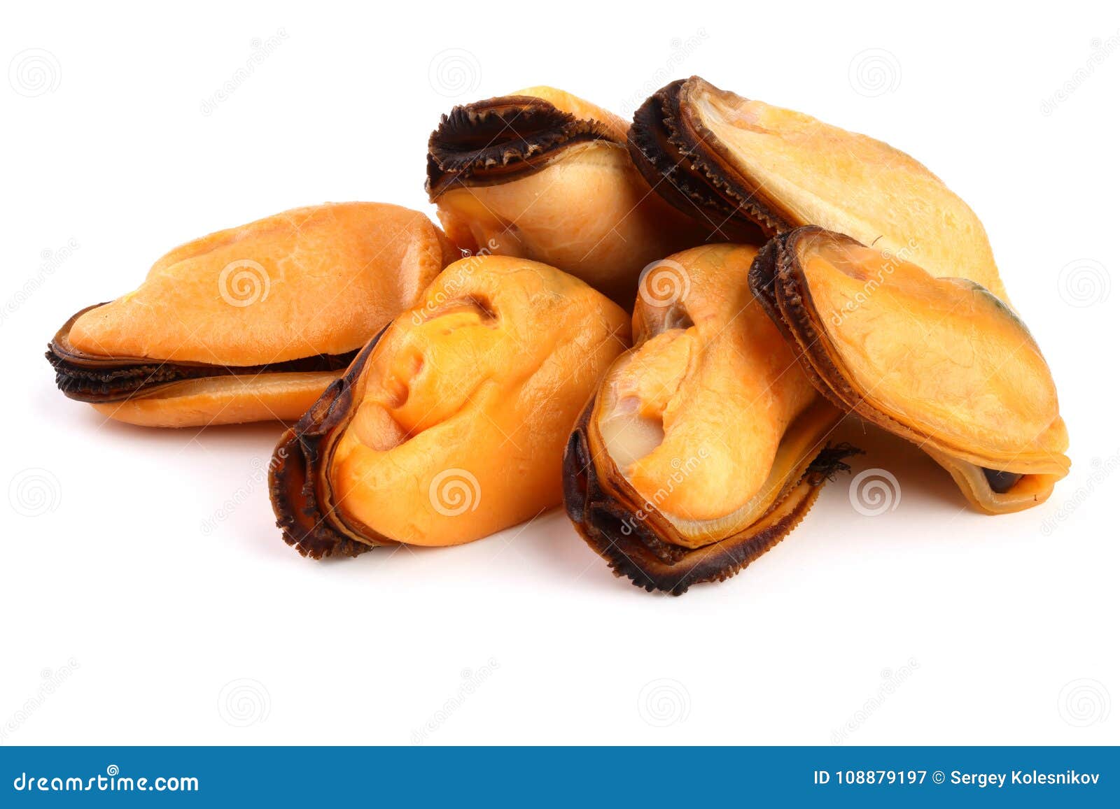 Five Mussel without Shell Isolated on White Background Stock Image ...