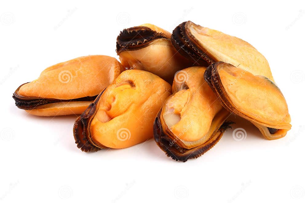 Five Mussel without Shell Isolated on White Background Stock Image ...