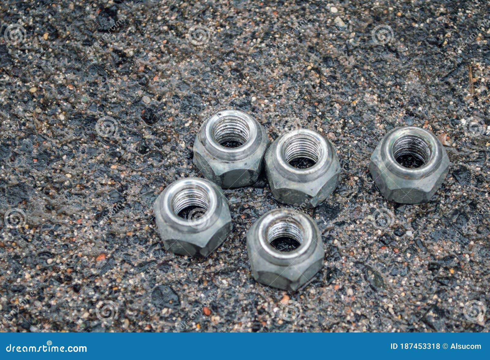 Five Nuts Lie on Wet Pavement Stock Photo - Image of nuts, metallic ...
