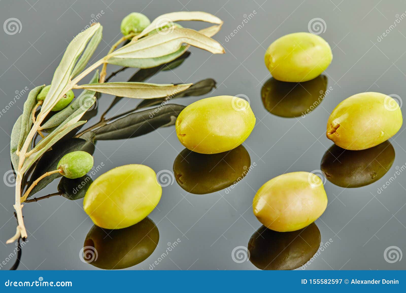 Five Olives with Olive Tree Branch with Fruits Lying on a Gray ...