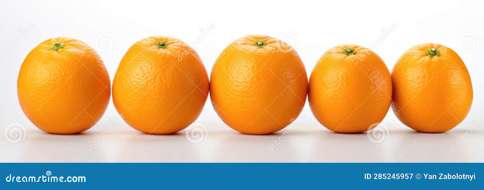 Five Oranges Lined Up in a Row on a White Background Stock Illustration ...