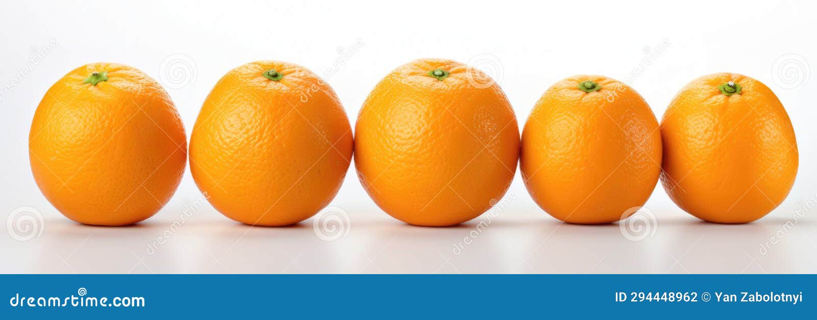 Five Oranges Lined Up in a Row on a White Background Stock Illustration ...