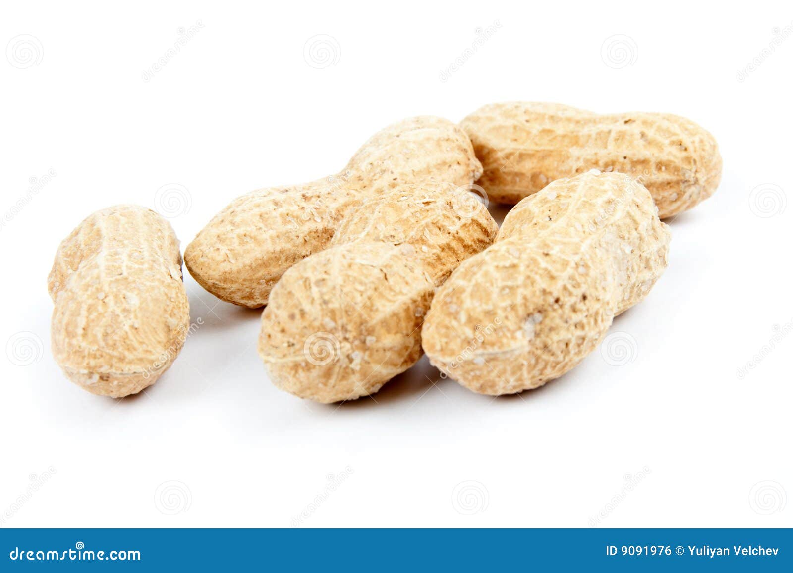 Five peanuts stock photo. Image of nuts, food, kernel - 9091976