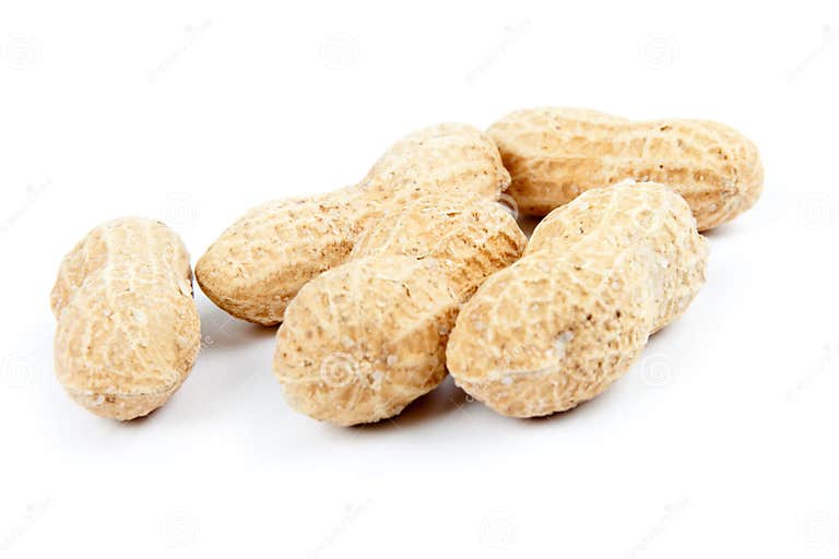 Five peanuts stock photo. Image of nuts, food, kernel - 9091976