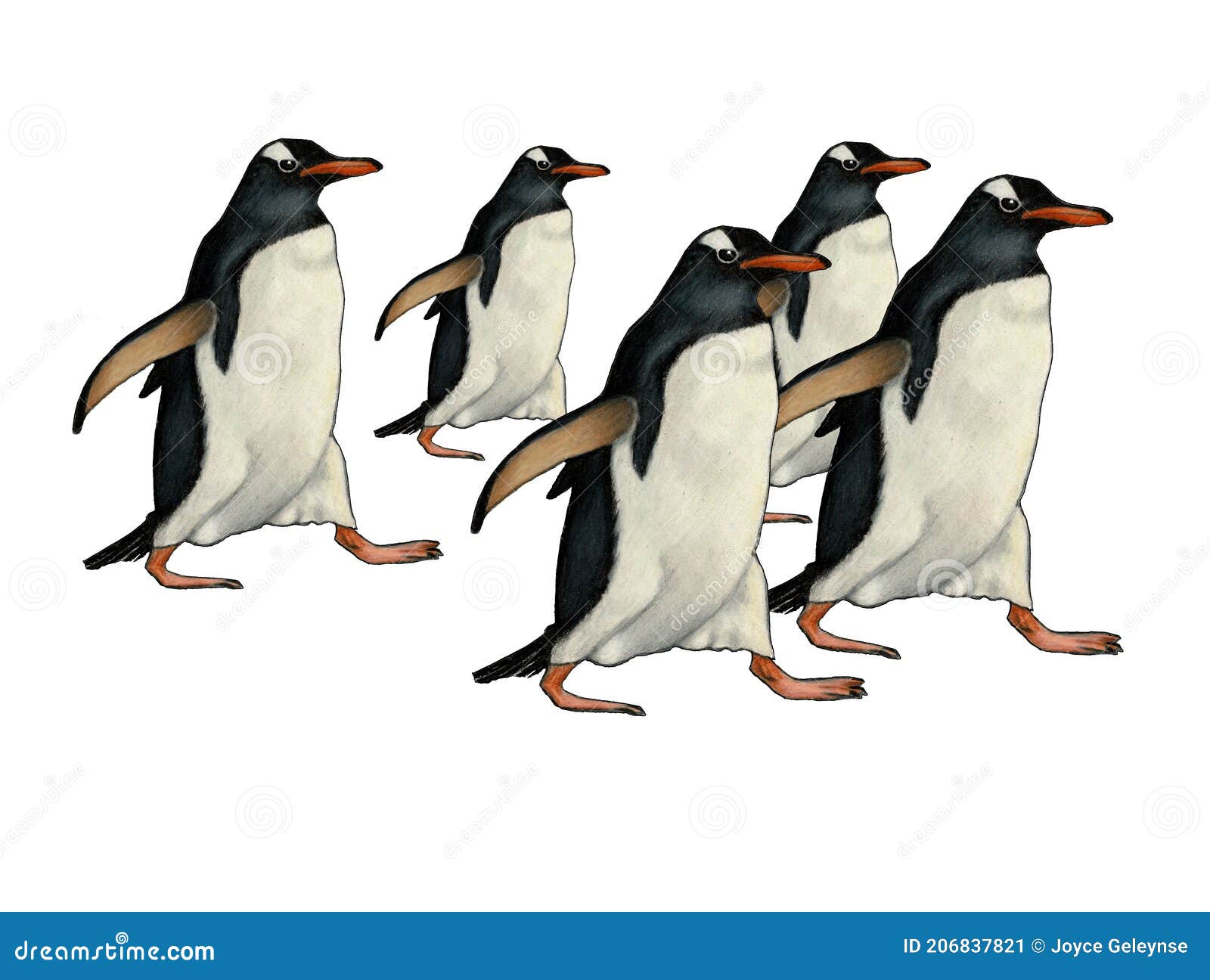 Royalty Free Images, Cartoons, Illustrations And Photos Designed By ...