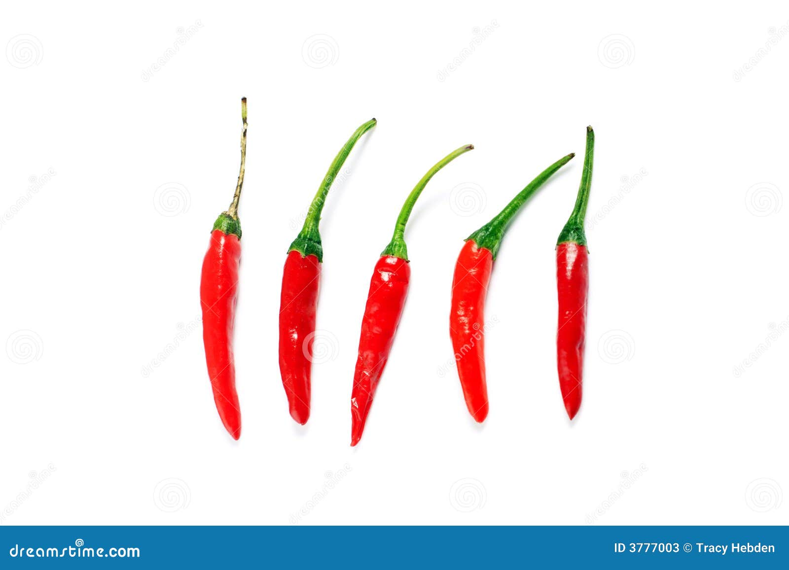 Five peppers stock image. Image of eating, fiery, vegetables - 3777003