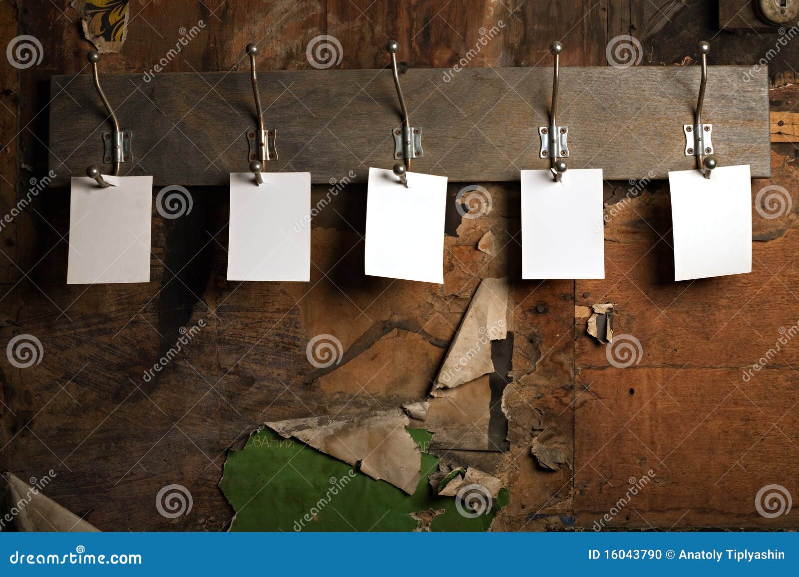 Five Photo Paper Attach To Hook Stock Photo - Image of brown, poster ...