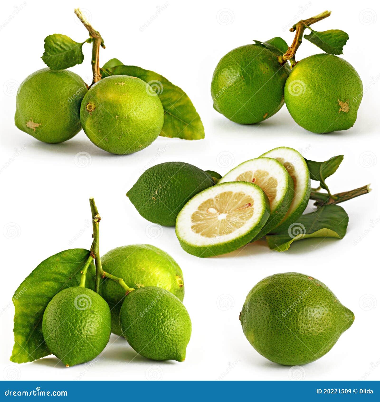 Five Picture of Lemon Green Stock Image - Image of lemon, citric: 20221509
