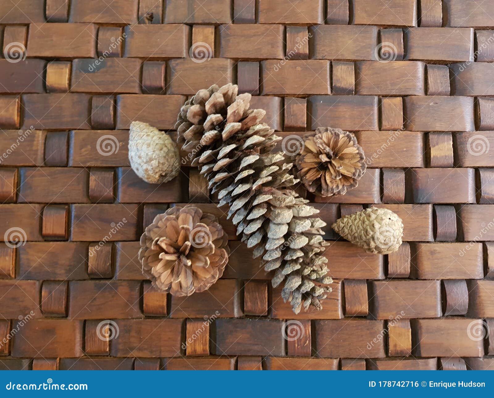 Five Pine Cones on a Patterned Wooden Base Stock Photo - Image of ...