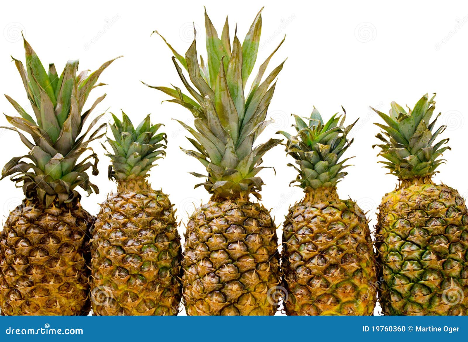 Five pineapples isolated. stock photo. Image of drink - 19760360