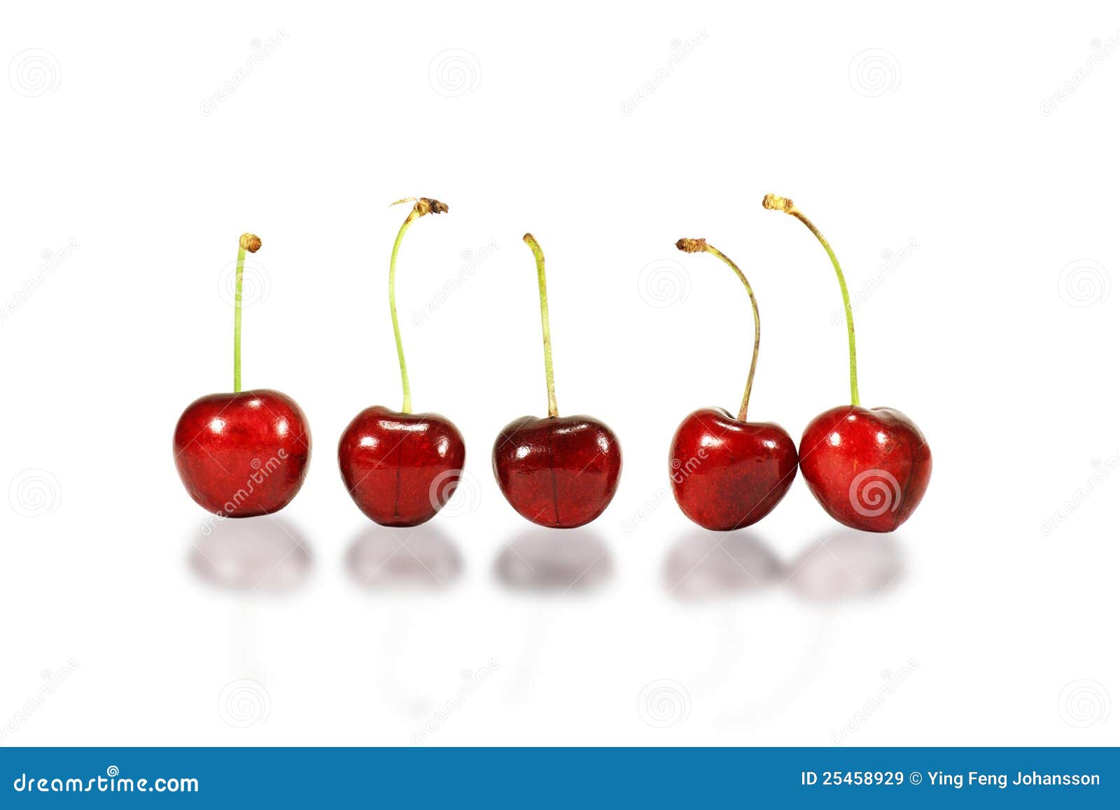 Five red cherries stock image. Image of bright, still - 25458929