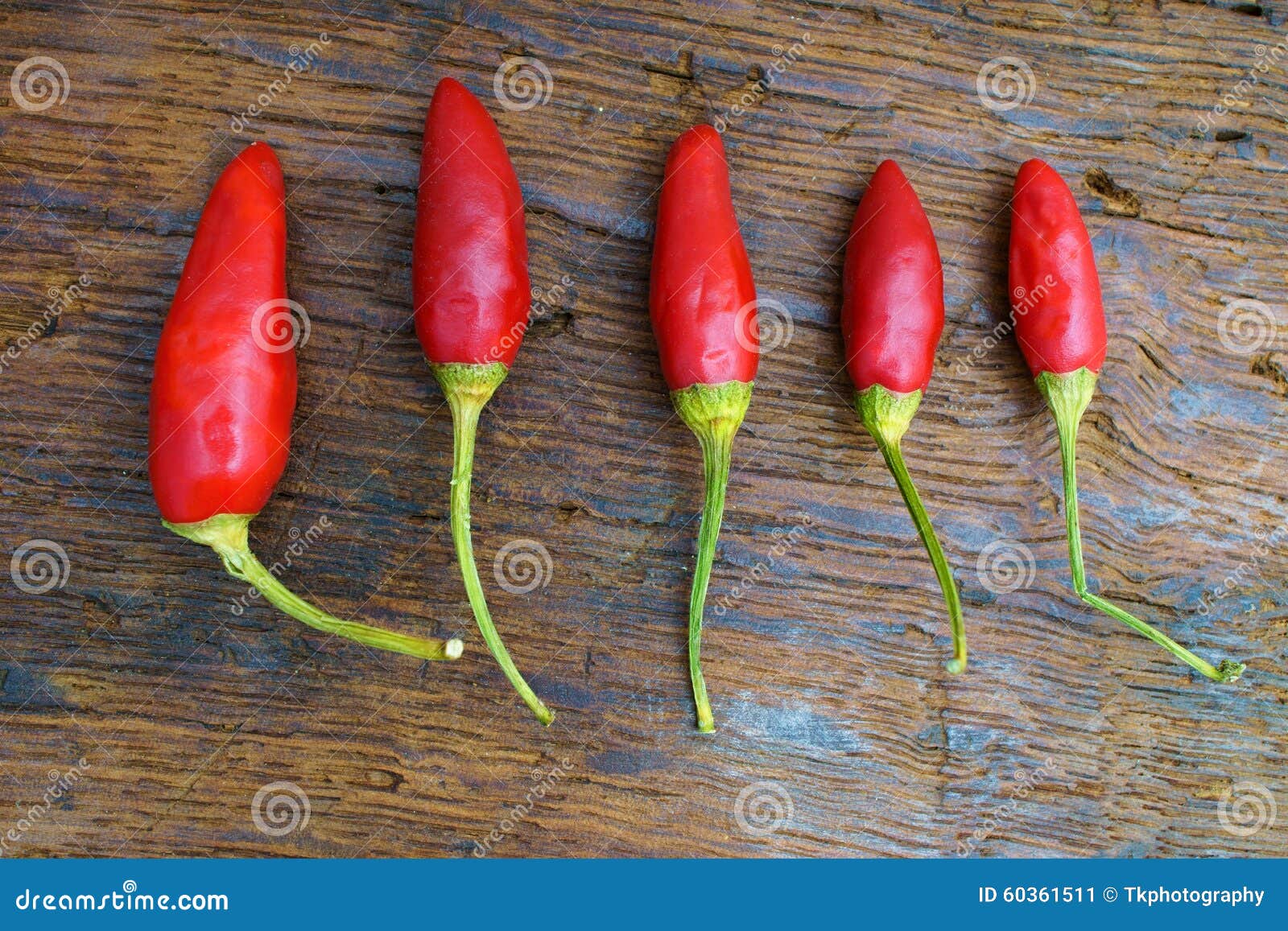 Five red chili pepper pods stock image. Image of wood - 60361511