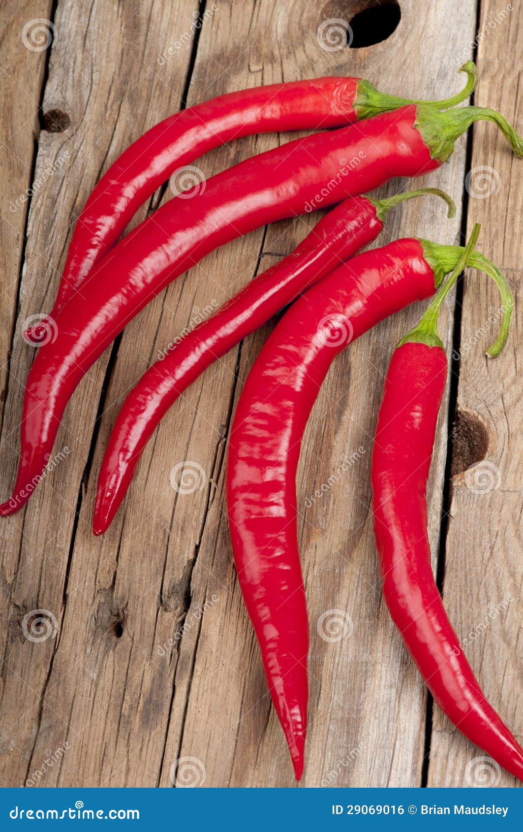 Five red chilli peppers stock photo. Image of colorful - 29069016