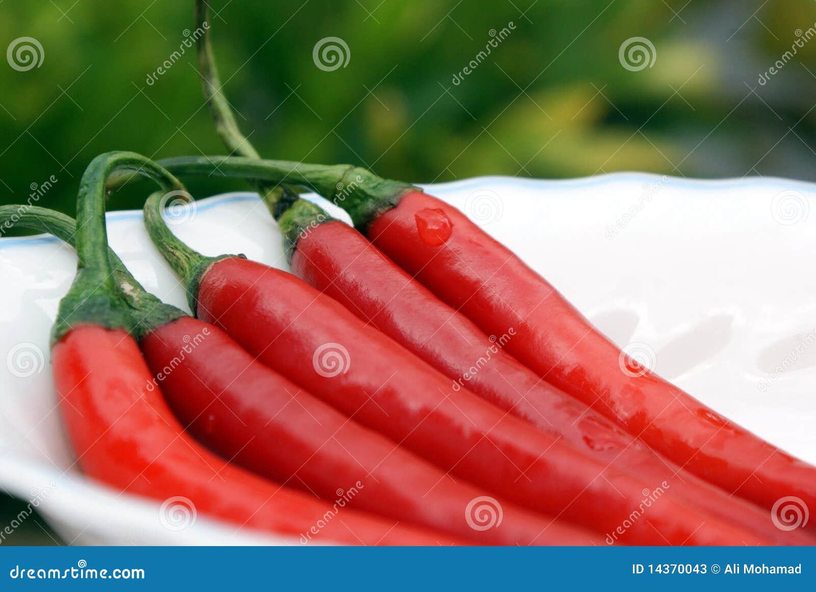 Five red chillies stock image. Image of spicy, eating - 14370043