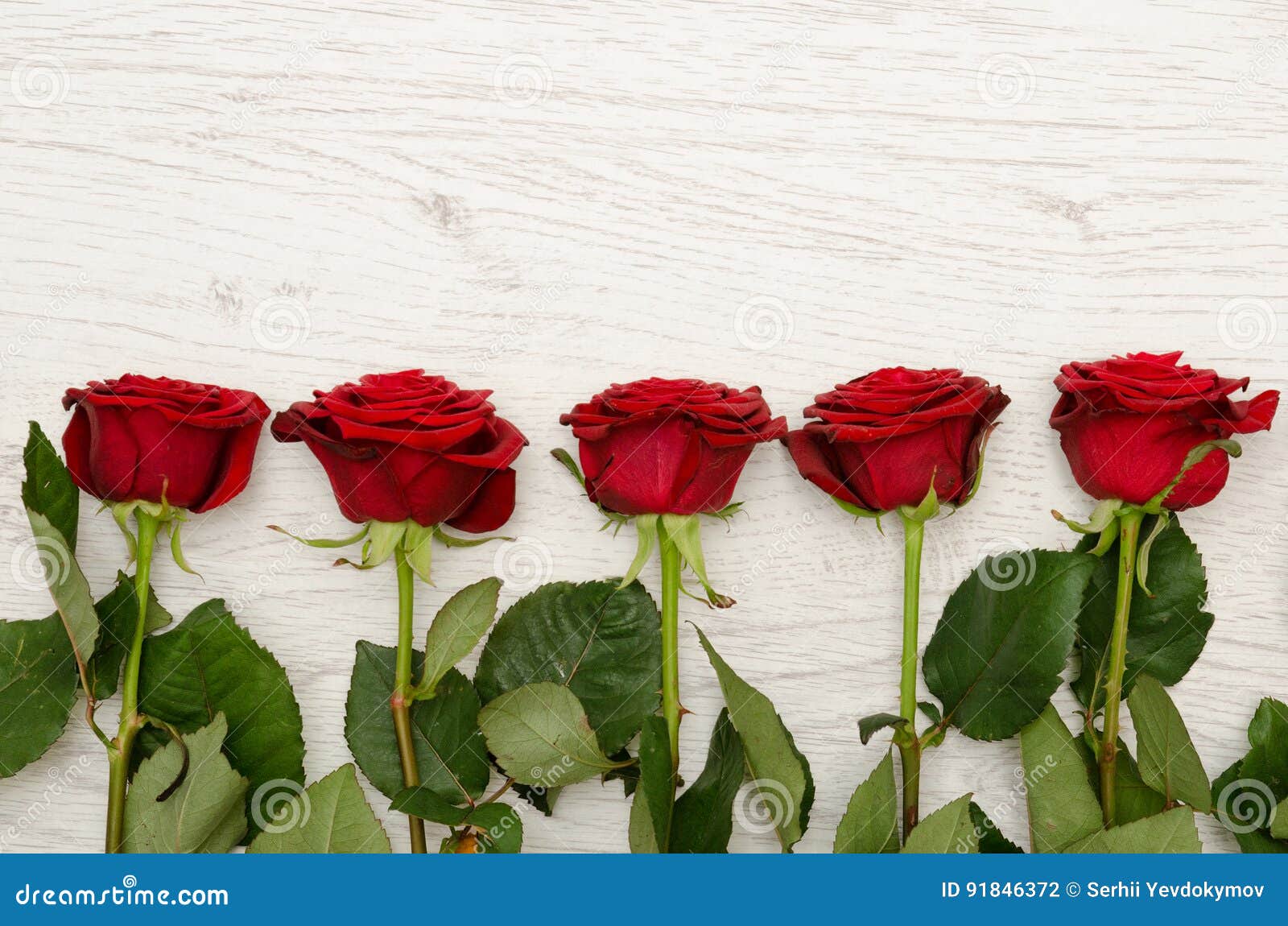 Five Red Rose on a Light Wooden Background at the Edge of the Frame ...