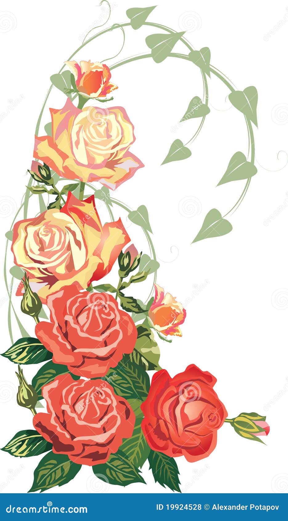 Five Red Roses on White Illustration Stock Vector - Illustration of ...