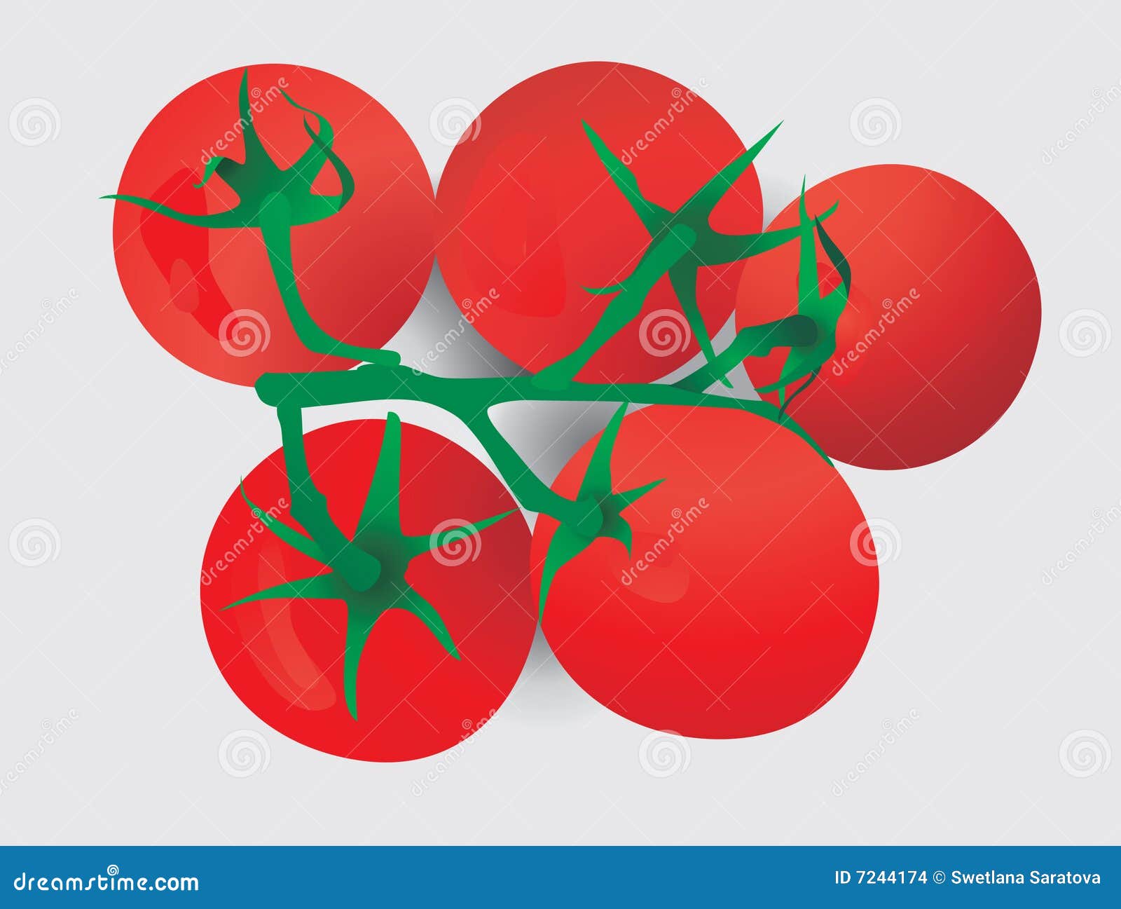 Five Red Tomatoes on a Branch Stock Vector - Illustration of background ...