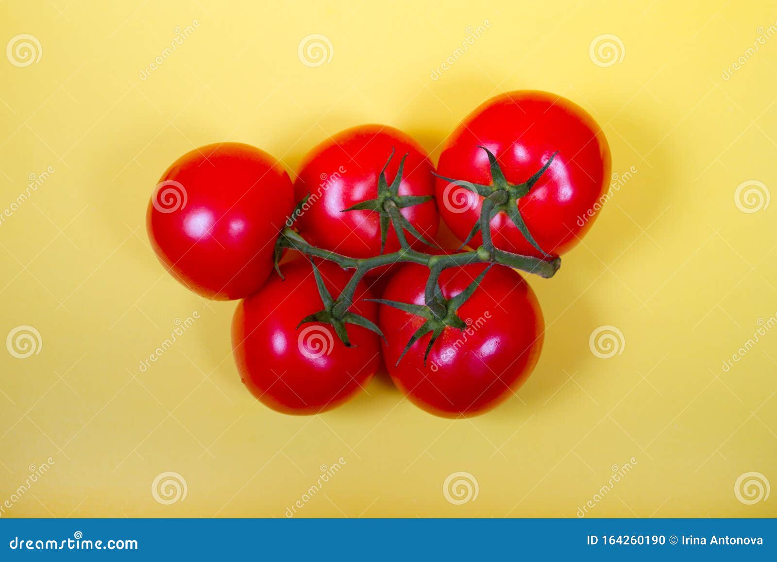 Five Red Tomatoes on a Branch on a Yellow Background Stock Photo ...
